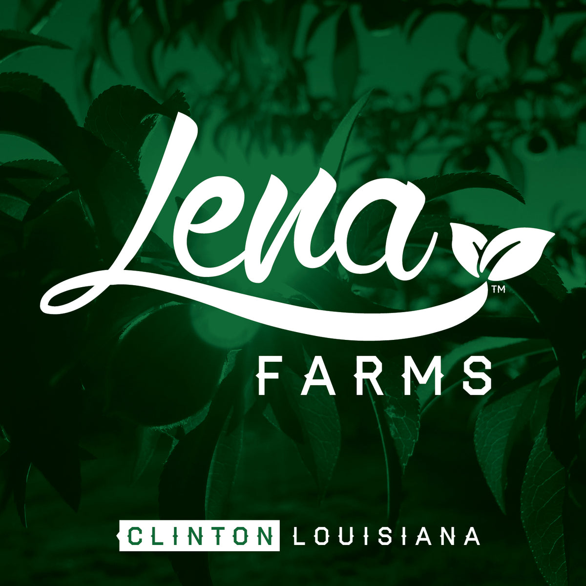 Lena Farms